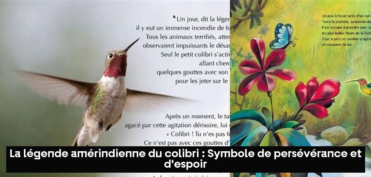 La légende amérindienne du colibri : Symbole de persévérance et d ...